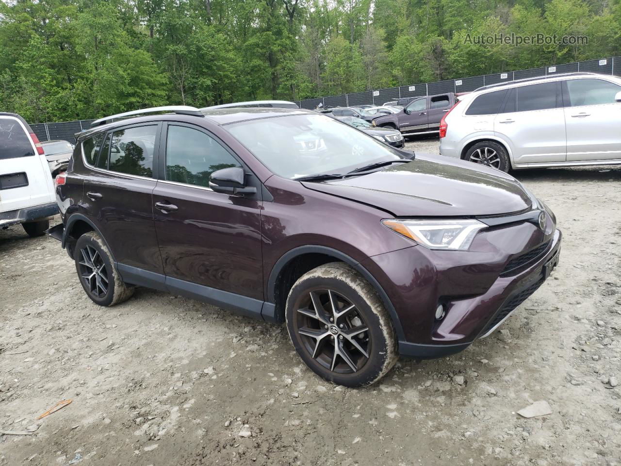 Price & History 2018 Toyota Rav4 Se 2.5l 4 vin: 2T3JFREV1JW743825 ...