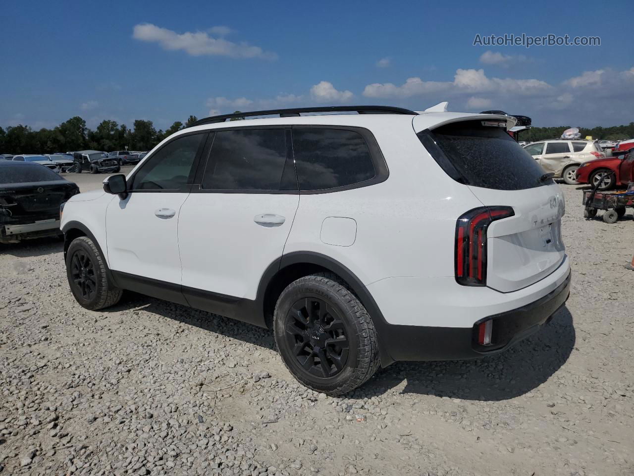 Price & History 2024 Kia Telluride Sx 3.8l 6 vin: 5XYP5DGC1RG442946 ...
