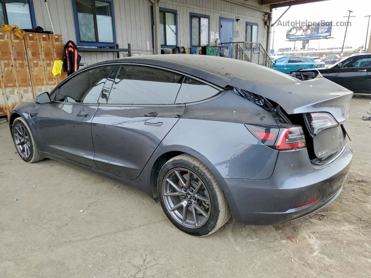 Price & History 2021 Tesla Model 3 vin: 5YJ3E1EA1MF051620 | AutoHelperBot