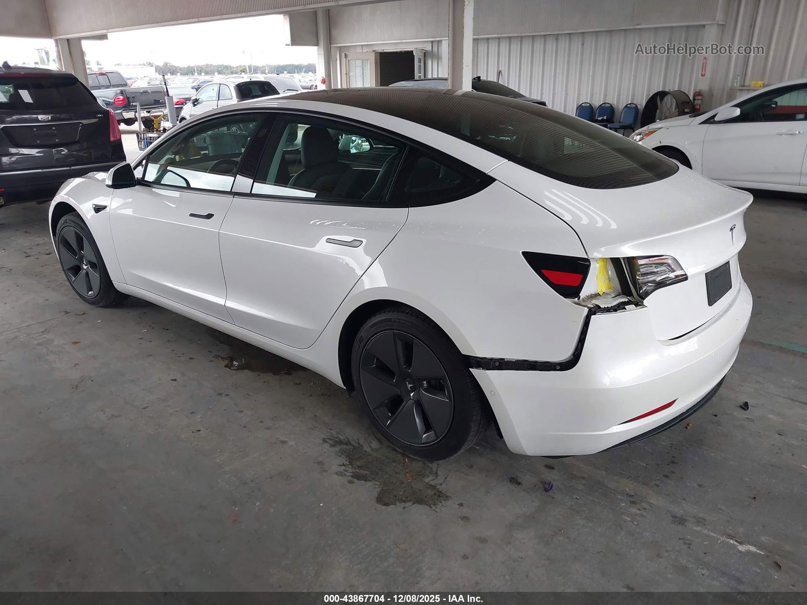 Price & History 2021 Tesla Model 3 Standard Range Plus Rear-wheel Drive ...