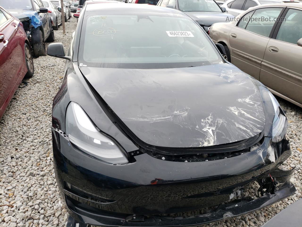 Price & History 2023 Tesla Model 3 vin: 5YJ3E1EA2PF437435 | AutoHelperBot