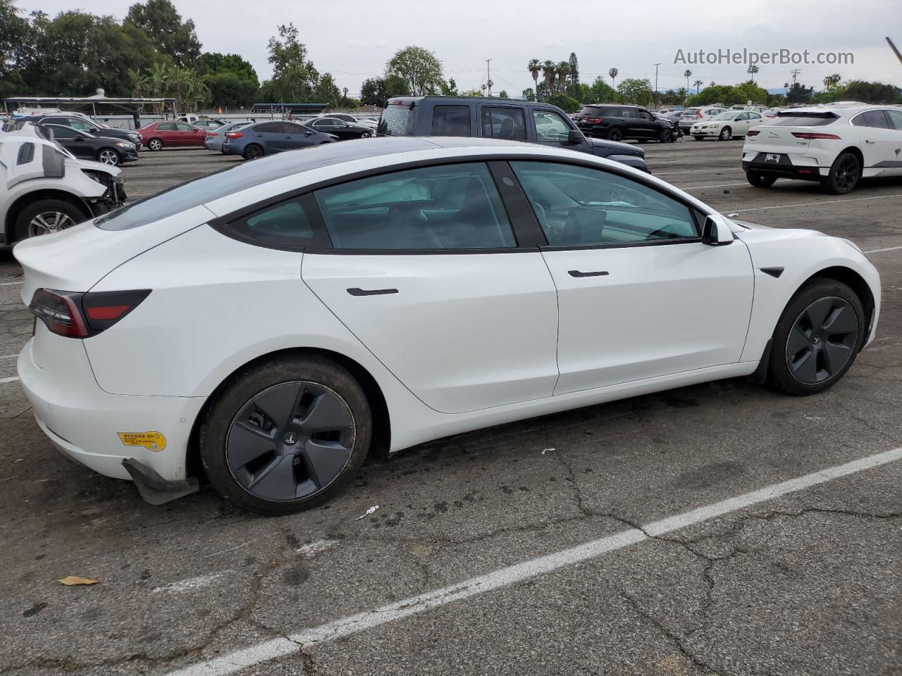 Price & History 2021 Tesla Model 3 vin: 5YJ3E1EA3MF093898 | AutoHelperBot