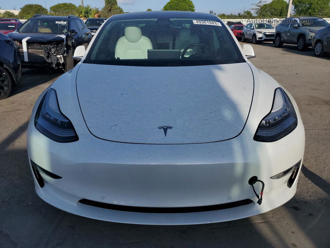 Price & History 2019 Tesla Model 3 vin: 5YJ3E1EA4KF403005 | AutoHelperBot
