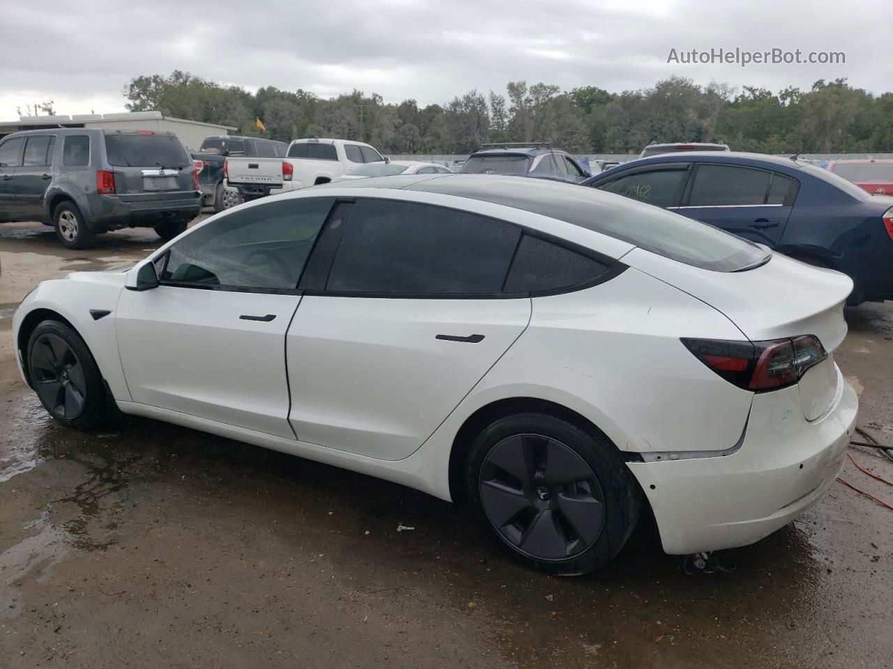 Price & History 2021 Tesla Model 3 vin: 5YJ3E1EA8MF906250 | AutoHelperBot