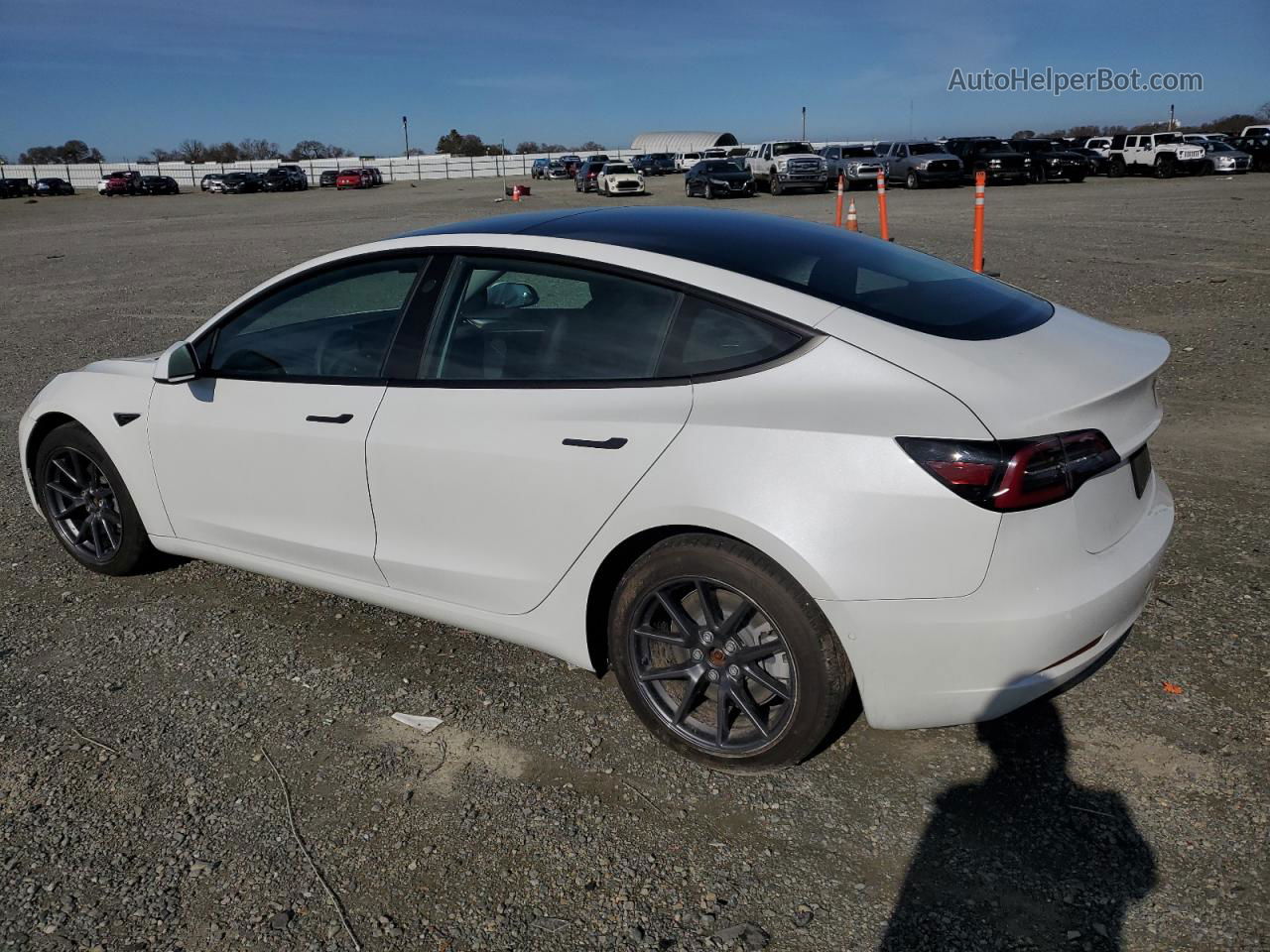 Price & History 2021 Tesla Model 3 vin: 5YJ3E1EB6MF065604 | AutoHelperBot
