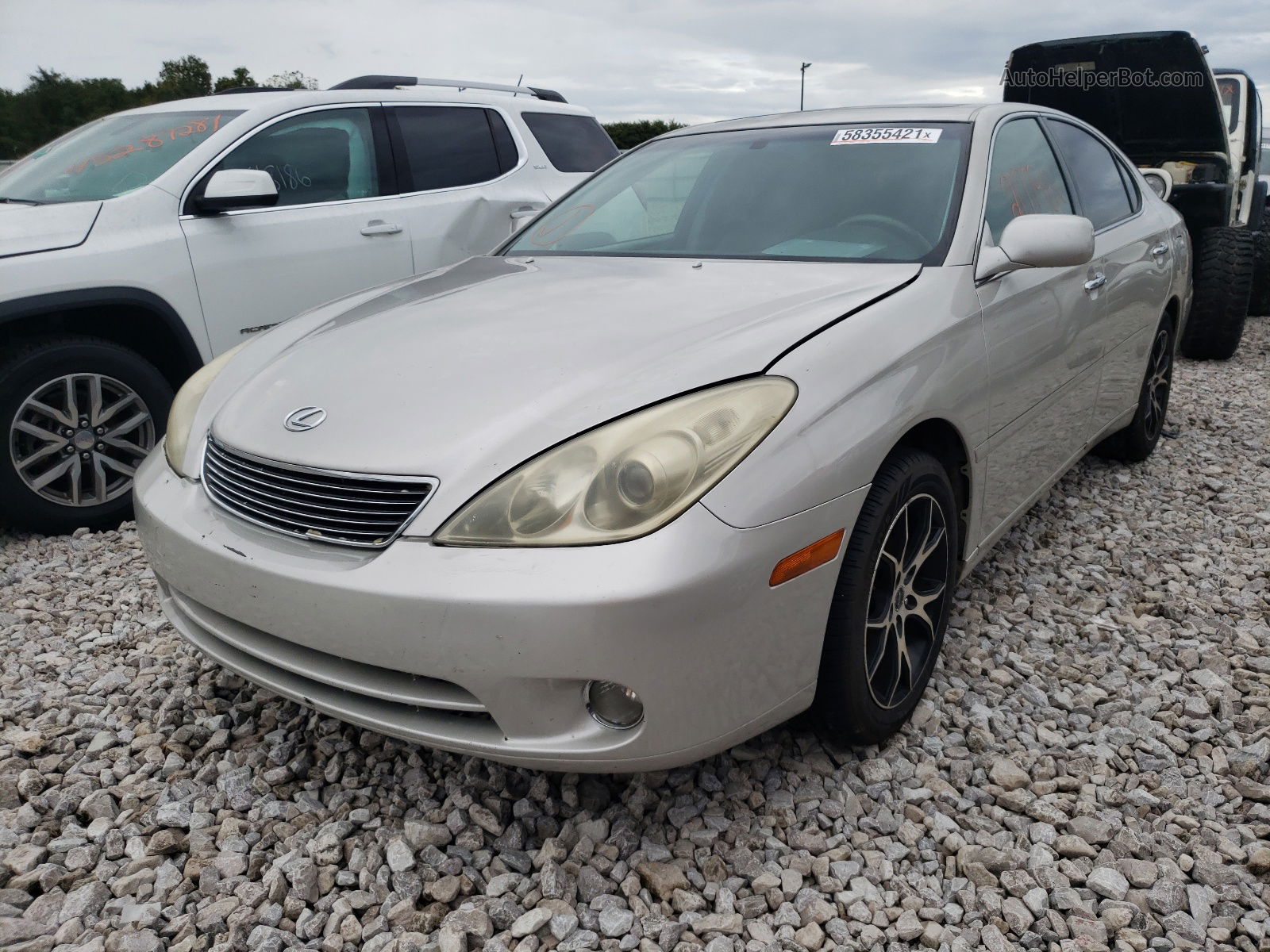 Price & History 2005 Lexus Es 330 3.3l 6 vin: JTHBA30G855118780 ...