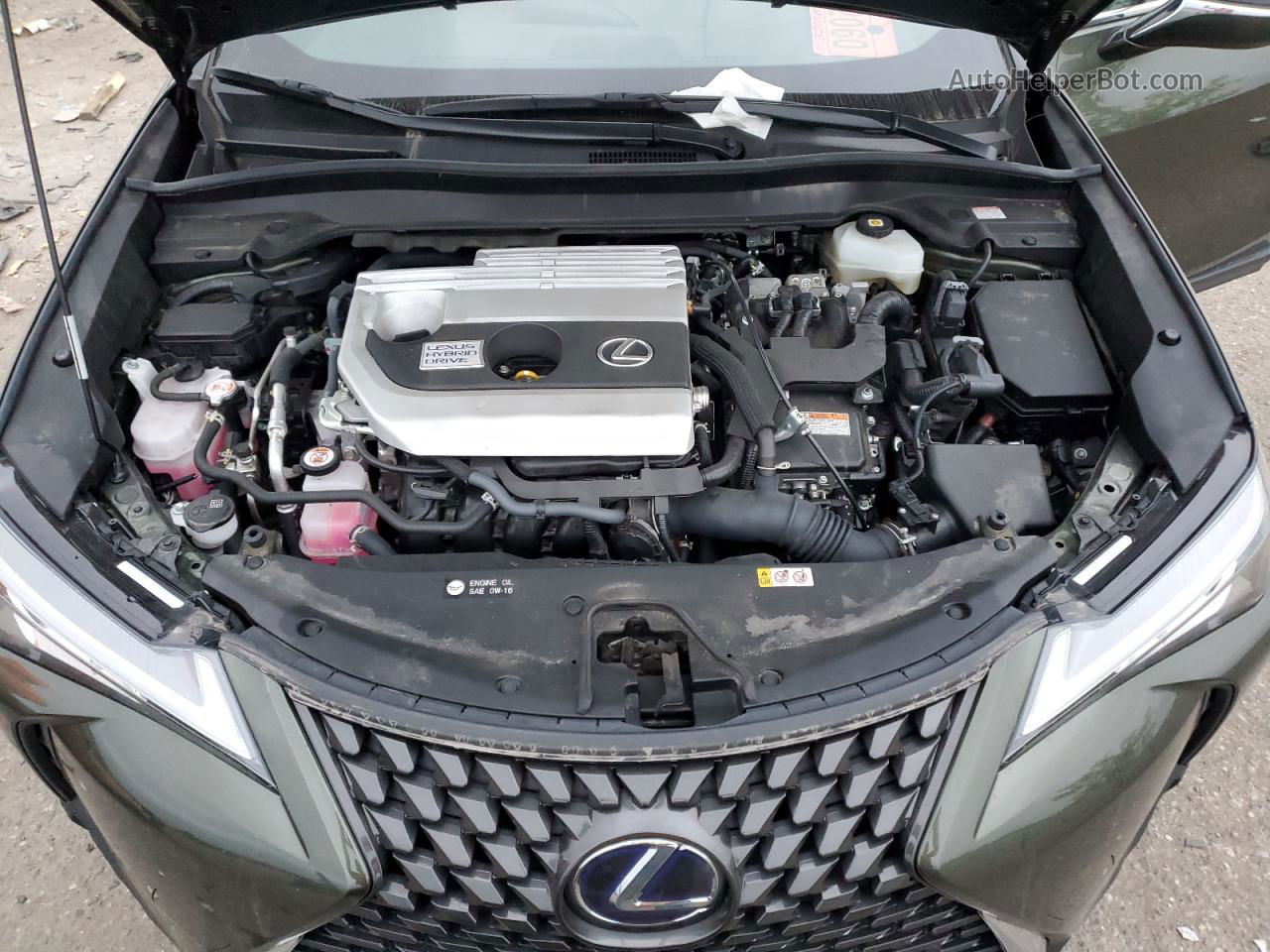 Price & History 2021 Lexus Ux 250h 2.0l 4 vin: JTHP9JBH9M2040745 ...