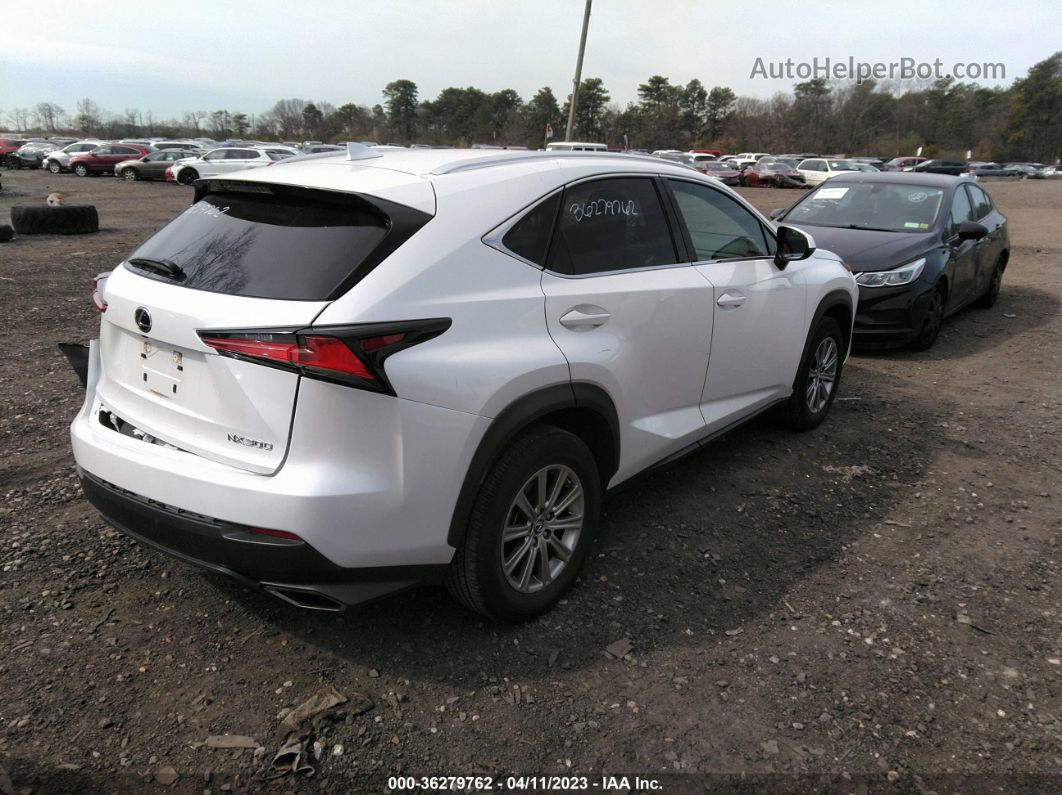 Цена и история 2020 Lexus Nx Nx 300 2.0l 16v Dohc 4-cylinder vin ...