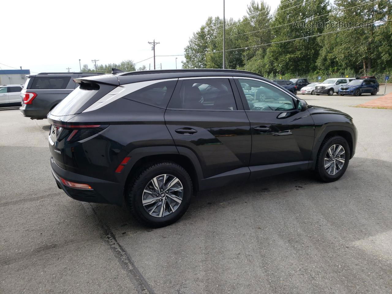 Price & History 2022 Hyundai Tucson Blue 1.6l 4 vin: KM8JBCA1XNU029377 ...